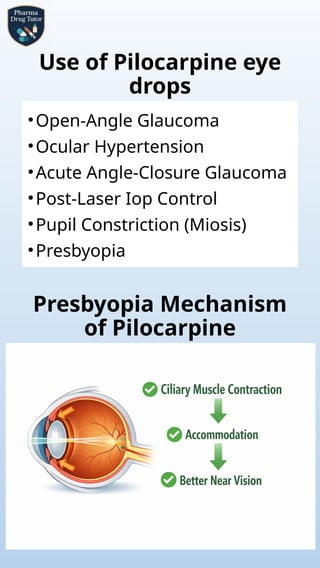 Pilocarpine Eye Drops: Mechanism of action, Uses & Safety | PPTX