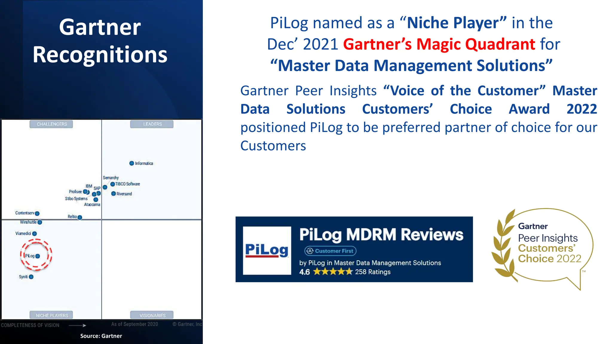 PiLog: Digital Transformation & Data Mastery | PDF