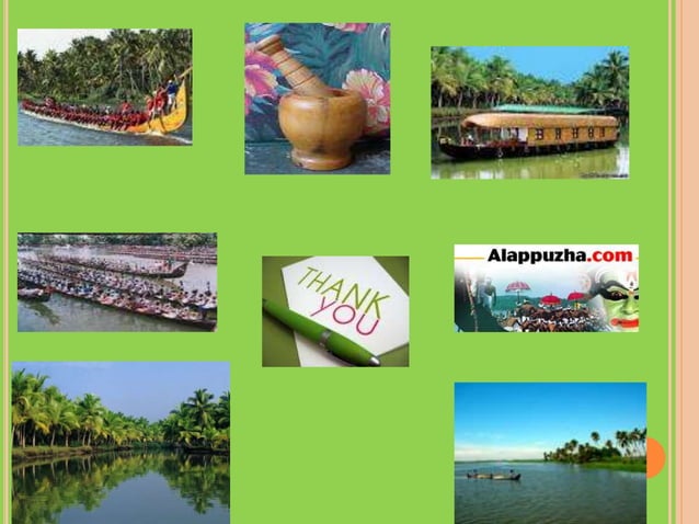 Pilon fractures reduction and fixation technics-dr mohamed ashraf-govt ...