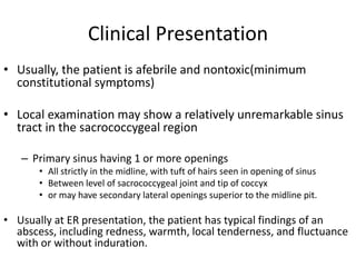Pilonidal Disease | PPTX