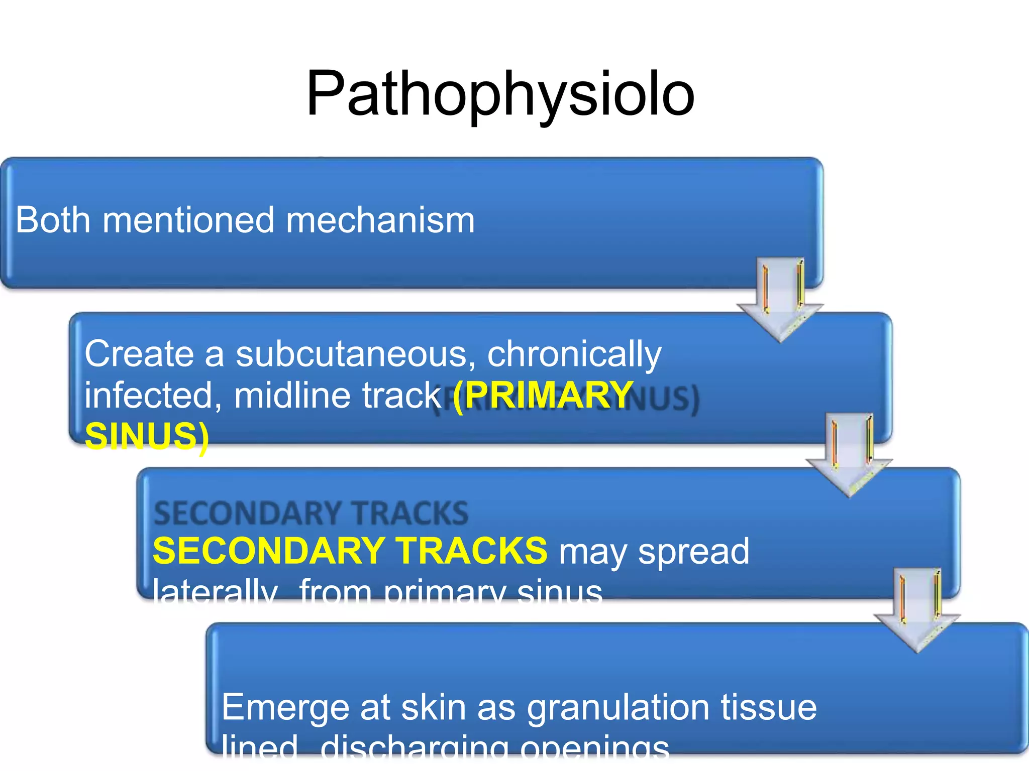 pilonidaldisease-.pptx