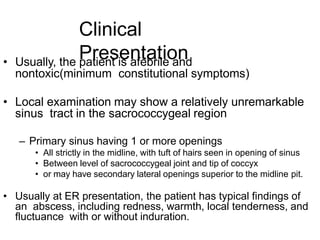 pilonidaldisease-.pptx