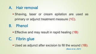 pilonidal sinus.pptx