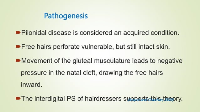 pilonidal sinus.pptx