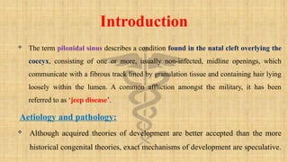 pilonidal sinus.pptxhdhdhdhdhdbdbdbdbfbfb | PPT