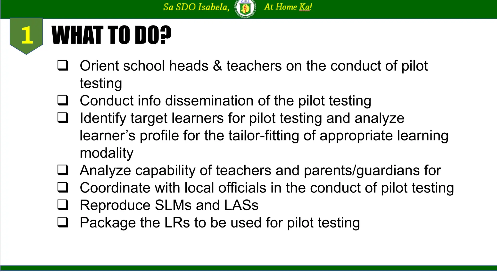 PILOT-TESTING-WHAT-TO-DO-1 (1).pptx