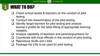 PILOT-TESTING-WHAT-TO-DO-1 (1).pptx