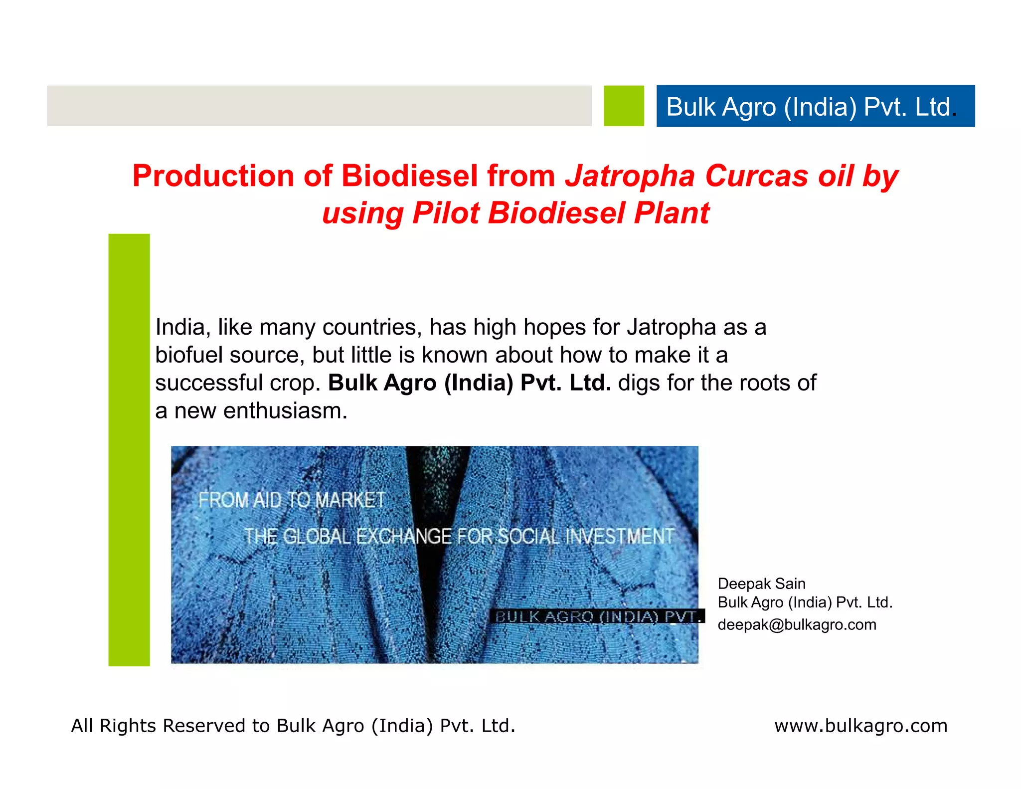 Production of Biodiesel from Jatropha Curcas Oil by using Pilot ...