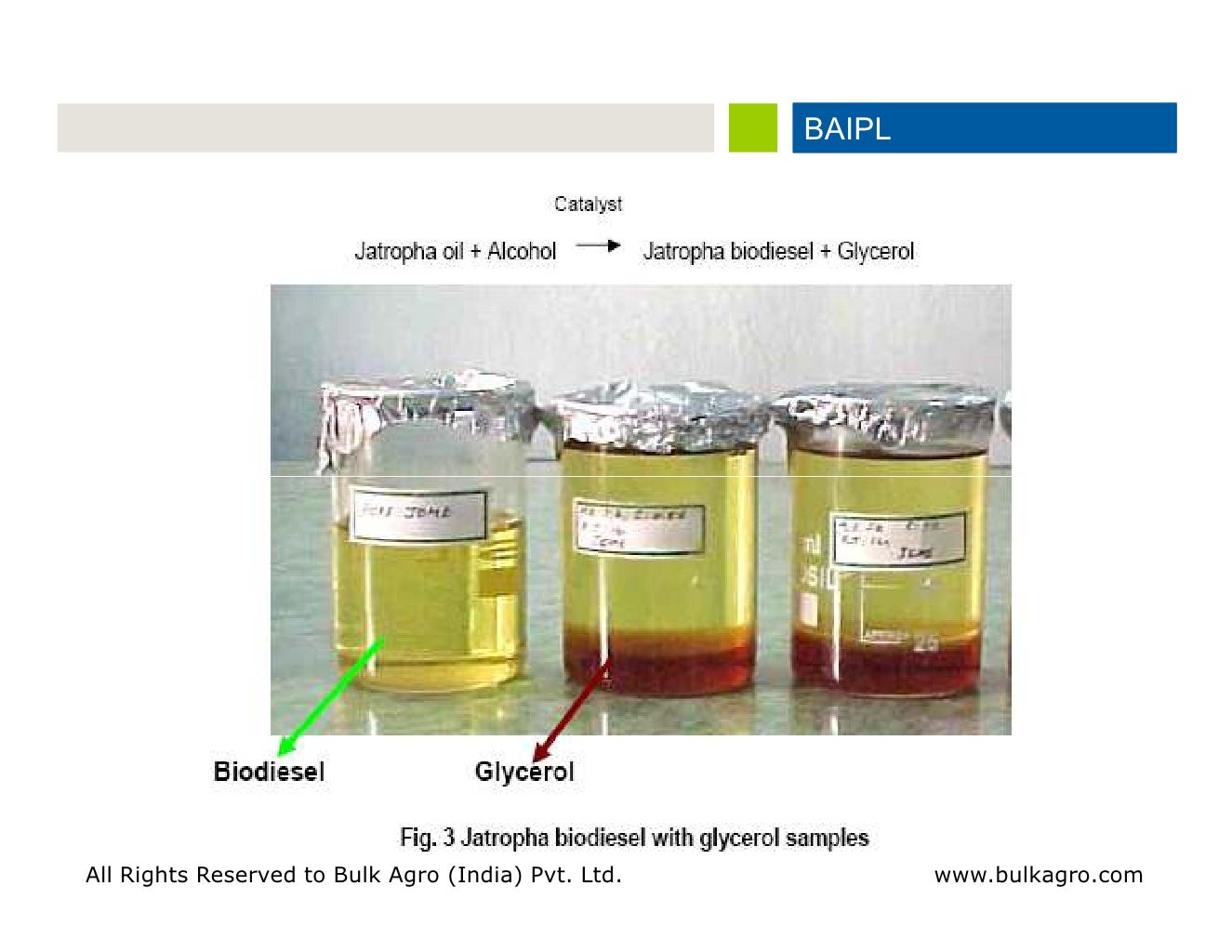 Production of Biodiesel from Jatropha Curcas Oil by using Pilot Biodi…