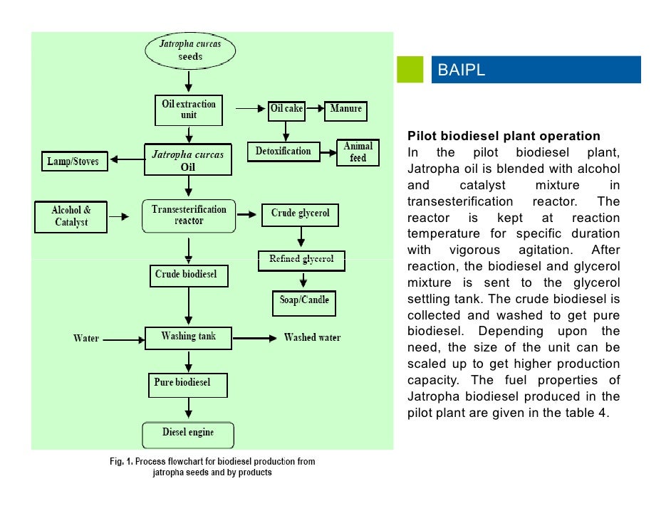 Production of Biodiesel from Jatropha Curcas Oil by using Pilot Biodi…
