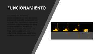 Pilotes grupo 1 ef131 (1) | PPTX