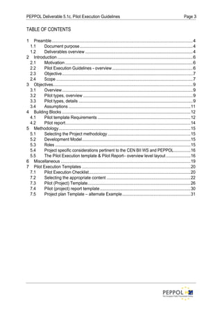 PEPPOL Pilot Execution Guidelines | PDF