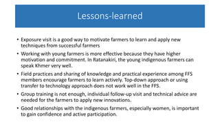 Pilot farmer field school (ffs) | PPTX