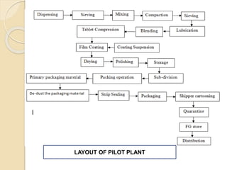 Pilot plant part 2 | PPT