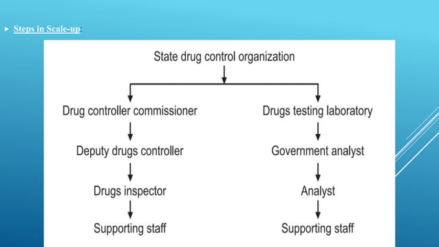 PILOT PLANT SCALE-UP TECHNIQUES ppt.pptx | Pharmaceutical Industry ...