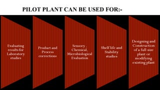 Pilot plant scale up techniques | PPTX
