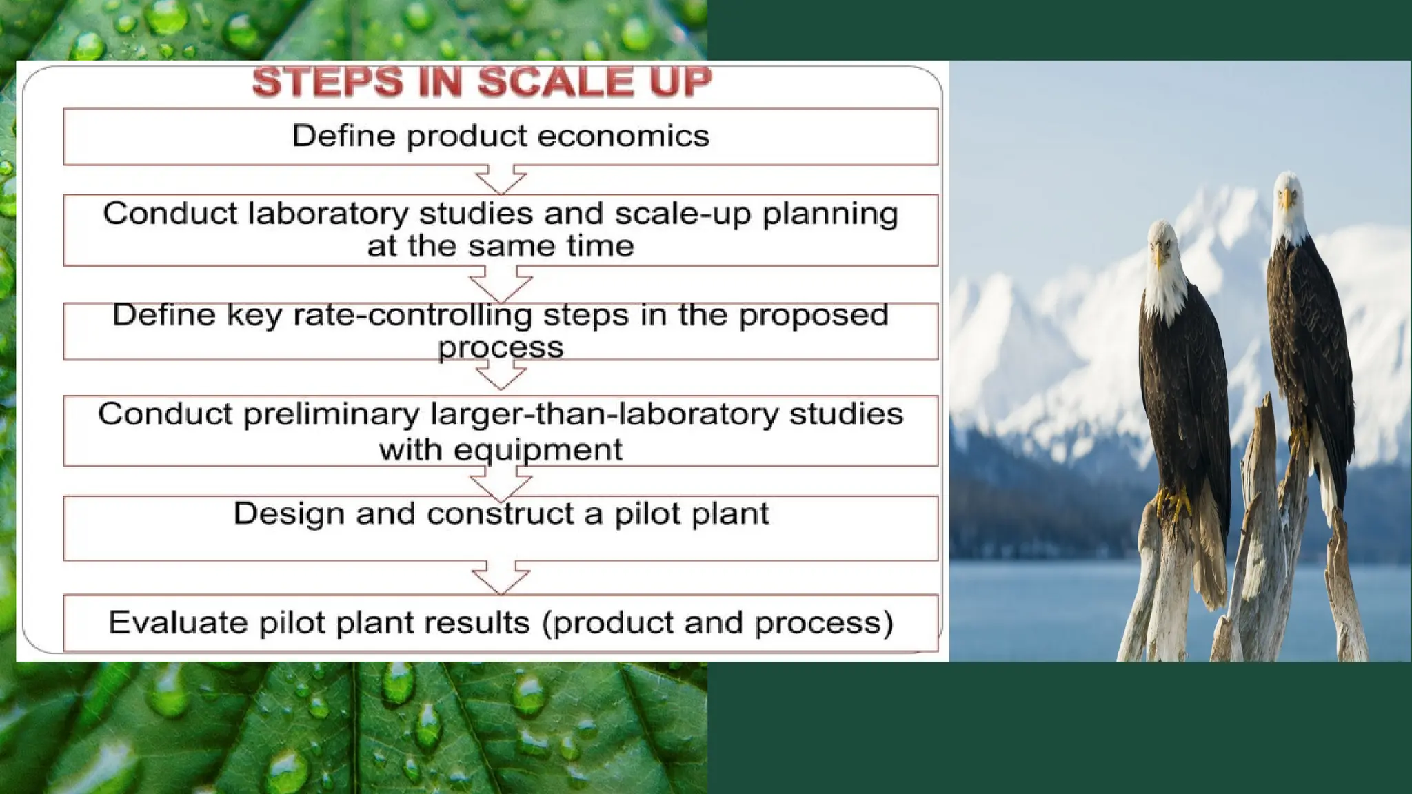 Pilot plant scale up techniques unit 1st industrial pharmacy 2nd | PPTX | Pharmaceutical ...