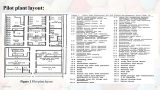 Pilot Plant.pptx