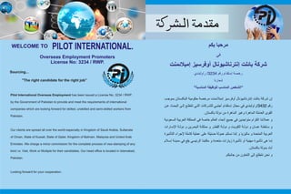 Pilot profile | PDF