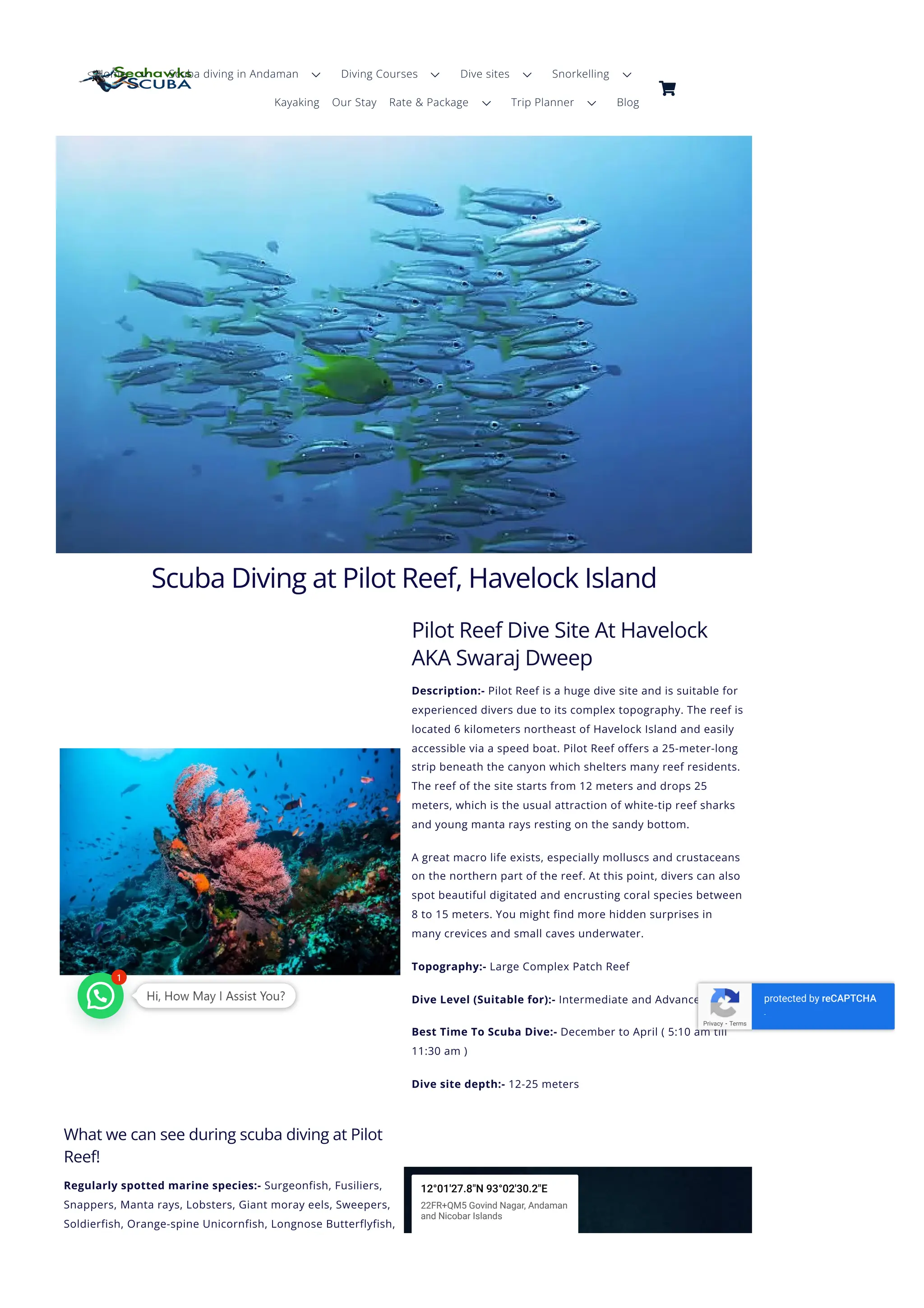 Explore Pilot Reef Dive Site on Havelock Island | PDF