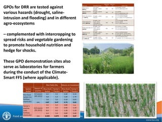 Planning and implementing climate change adaptation (CCA) and Disaster ...