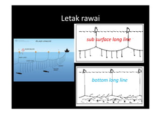 Pim1221 10 menangkap ikan dengan pancing rawe | PPT