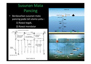 Pim1221 10 menangkap ikan dengan pancing rawe | PPT