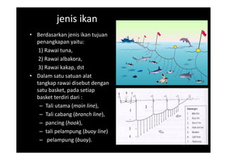 Pim1221 10 menangkap ikan dengan pancing rawe | PPT