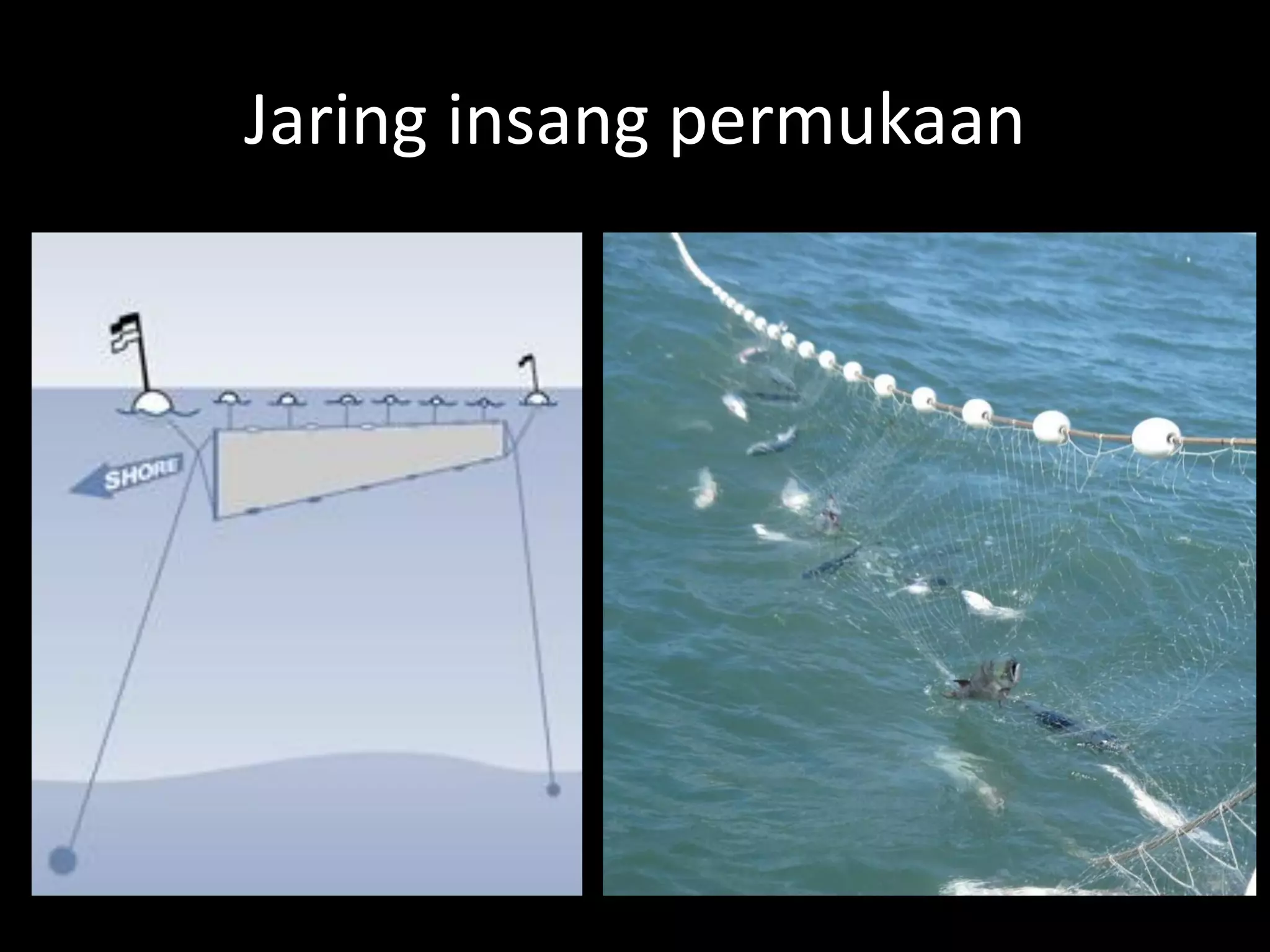 Pim1221 6 menangkap ikan dengan jaring insang | PDF