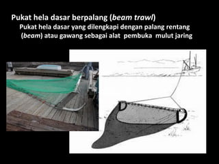Pim1221 7 menangkap ikan dengan trawl | PDF