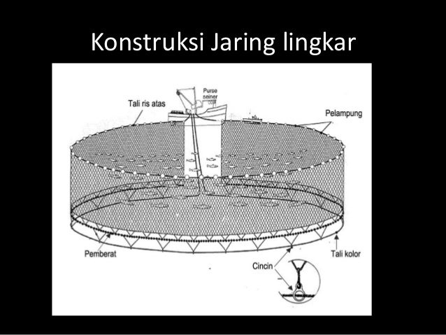 Pim1221 8 menangkap ikan denganpukat kantong lingkar