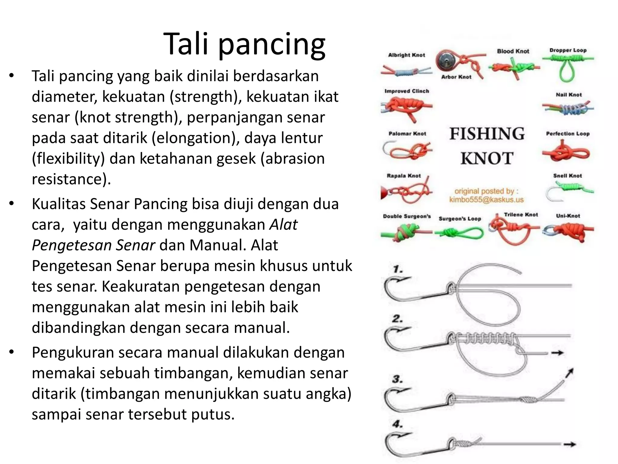 Pim1221 9 menangkap ikan dengan pancing joran | PDF