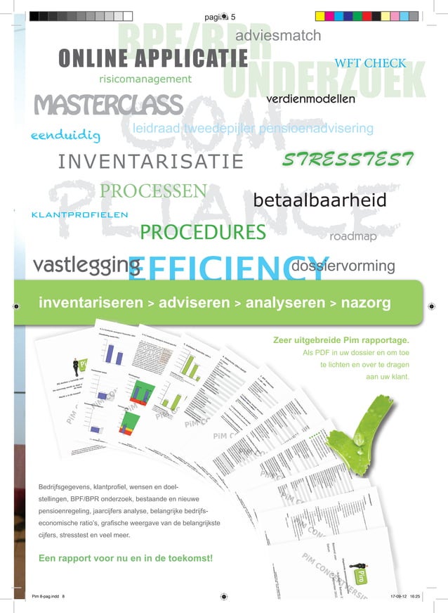 Pim - Pensioen inventarisatie model | PDF