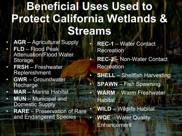 Pimple dimples eureka2013 | PPT