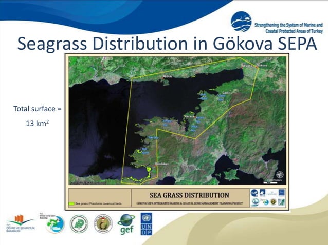 Economic Valuations : Blue Carbon Potential of the MPA system in Turkey ...
