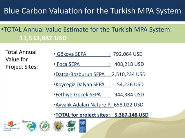 Economic Valuations : Blue Carbon Potential of the MPA system in Turkey ...