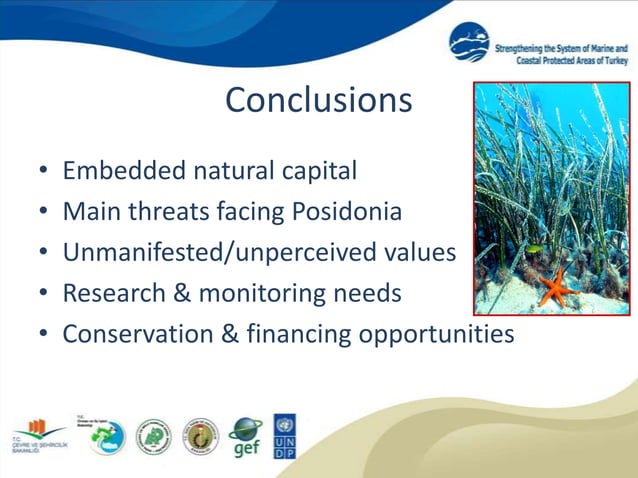 Economic Valuations : Blue Carbon Potential of the MPA system in Turkey ...