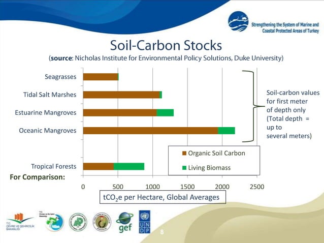 Economic Valuations : Blue Carbon Potential of the MPA system in Turkey ...