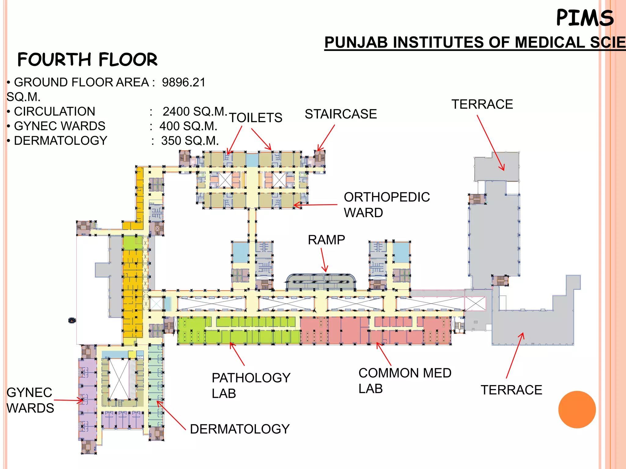 Pims HOSPITAL case study | PPTX