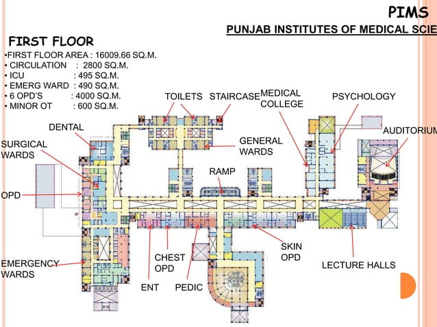 Pims HOSPITAL case study | PPTX