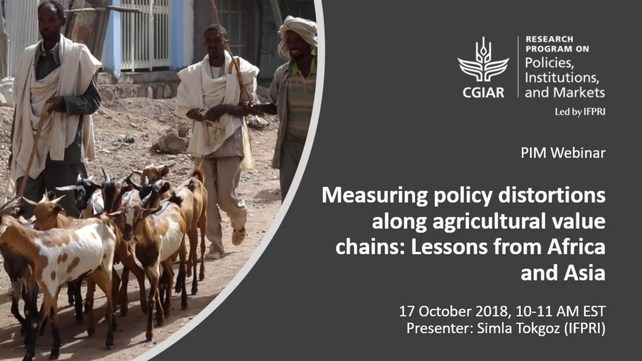 Measuring policy distortions along agricultural value chains: Lessons ...