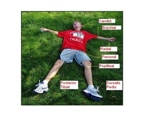 Pin prick test | PPT