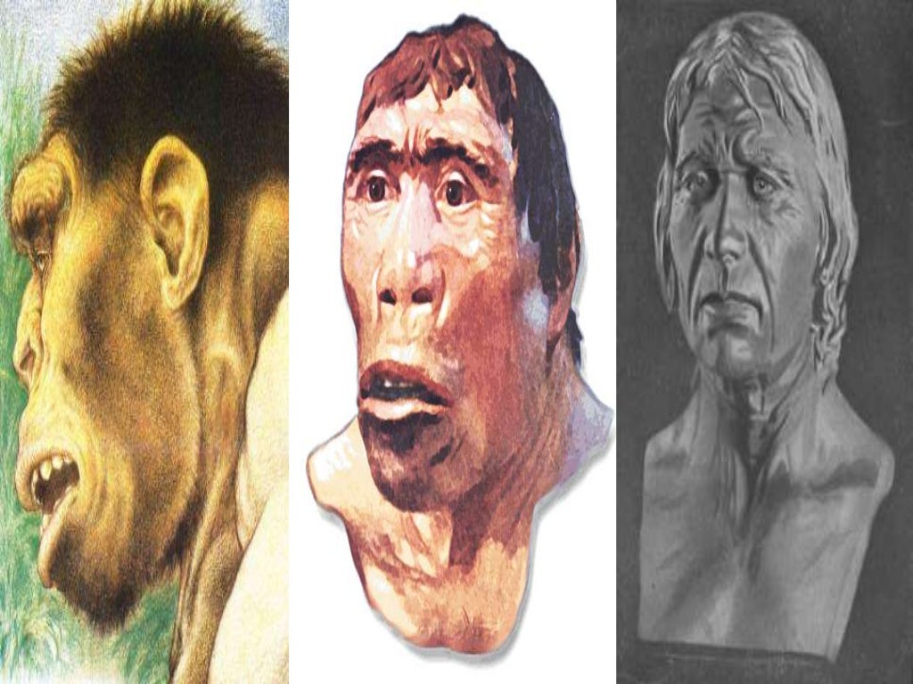 Mga Teoryang Pinagmulan Ng Pilipino - vrogue.co Mga Teoryang Pinagmulan Ng Pilipino - vrogue.co