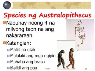 Pinagmulan ng tao | PPTX