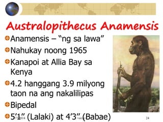 Pinagmulan ng tao | PPTX