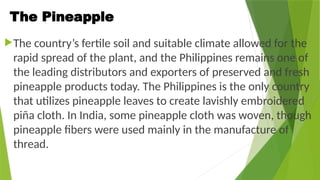 PINA (PINEAPPLE) CLOTH, PHILIPPINES - Indigenous Creative Craft (G2 ...