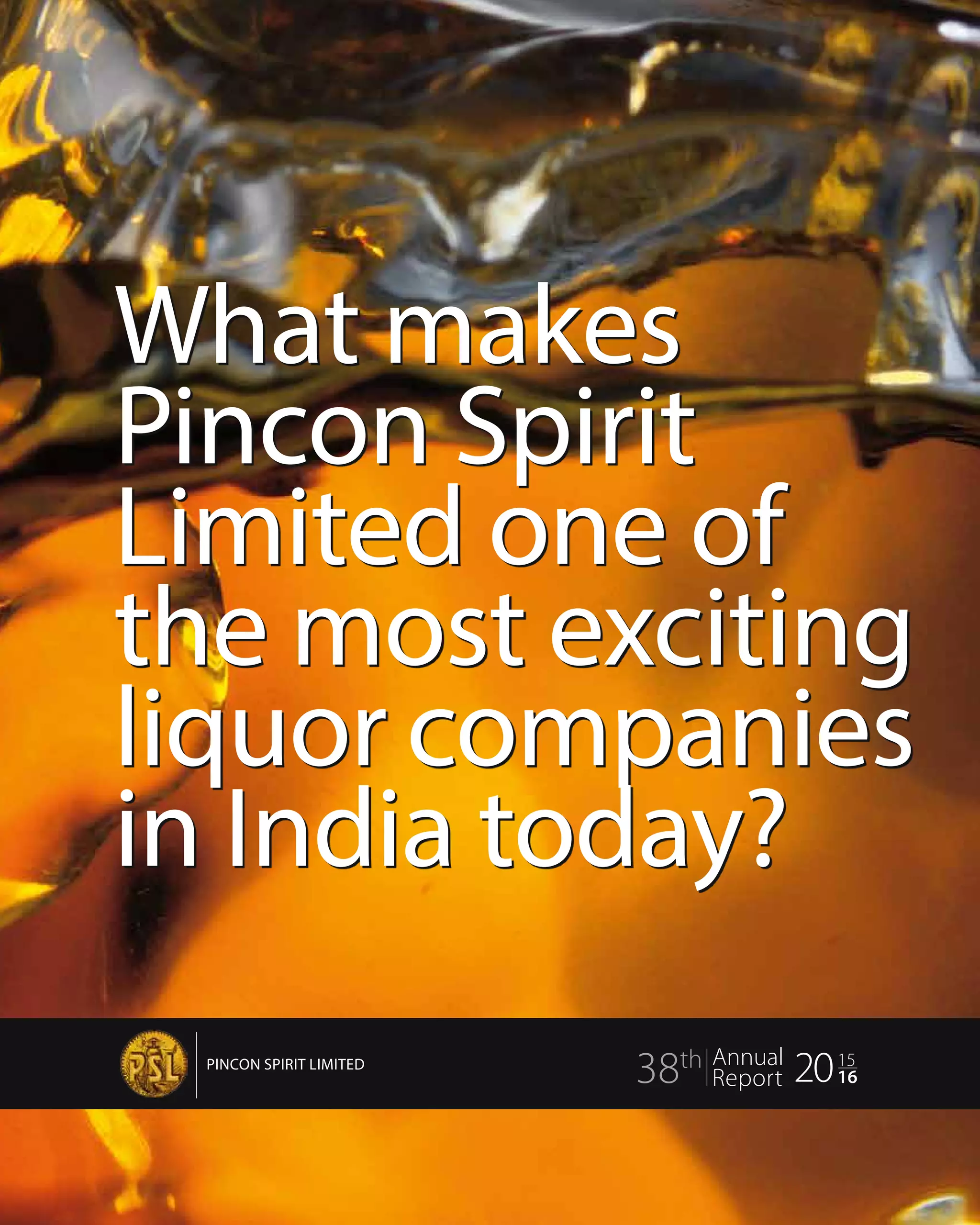 Pincon annual report 2015-16 | PDF