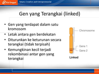 Pindah-Silang-dan-Pemetaan-Kromosom-Pertemuan-Ke-5.pptx