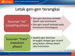 Pindah-Silang-dan-Pemetaan-Kromosom-Pertemuan-Ke-5.pptx