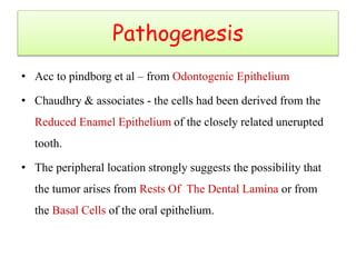 Calcifying Epithelial Odontogenic Tumor